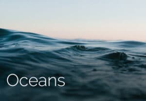 Project Green Challenge