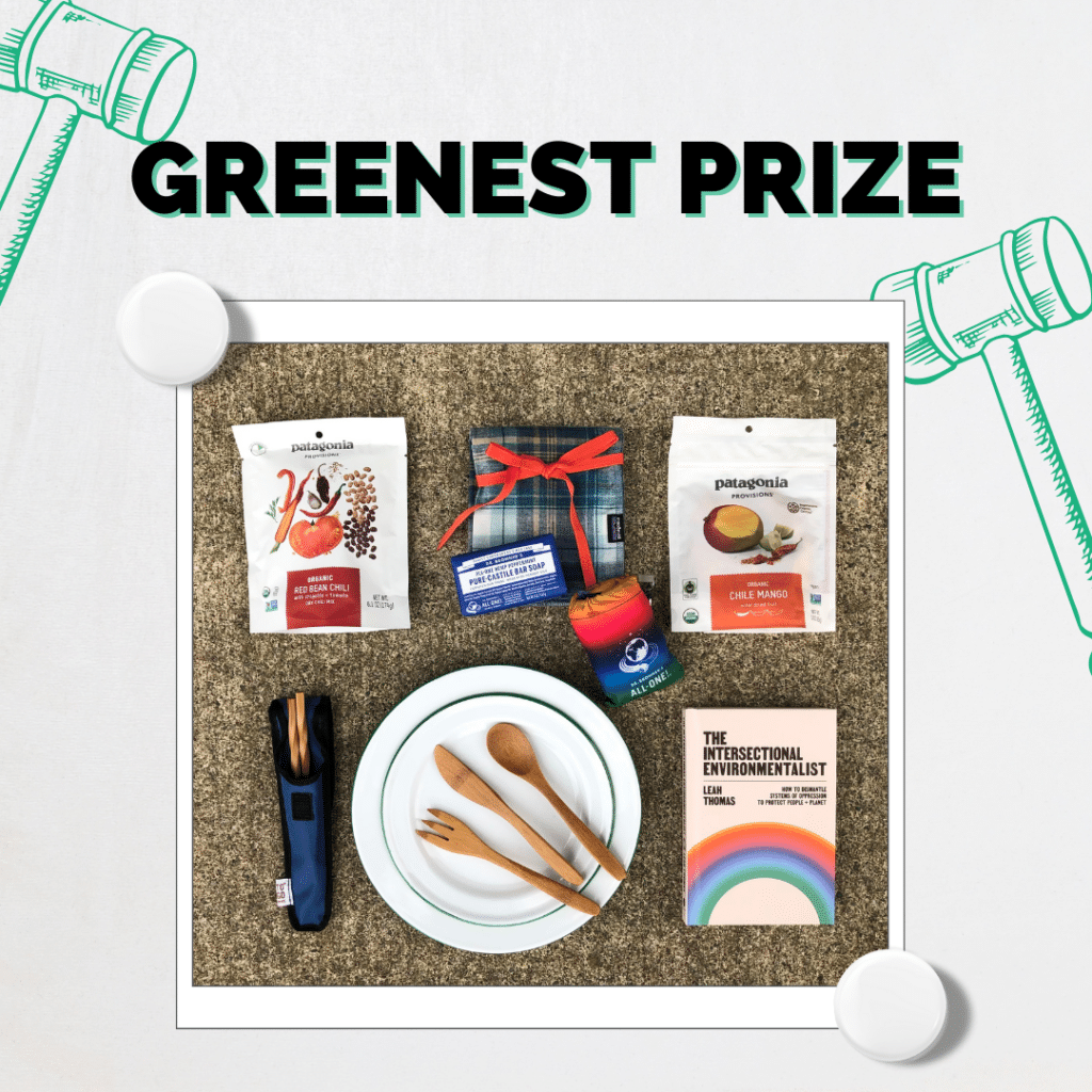 PGC 2023 Day 5: Climate Justice – Project Green Challenge